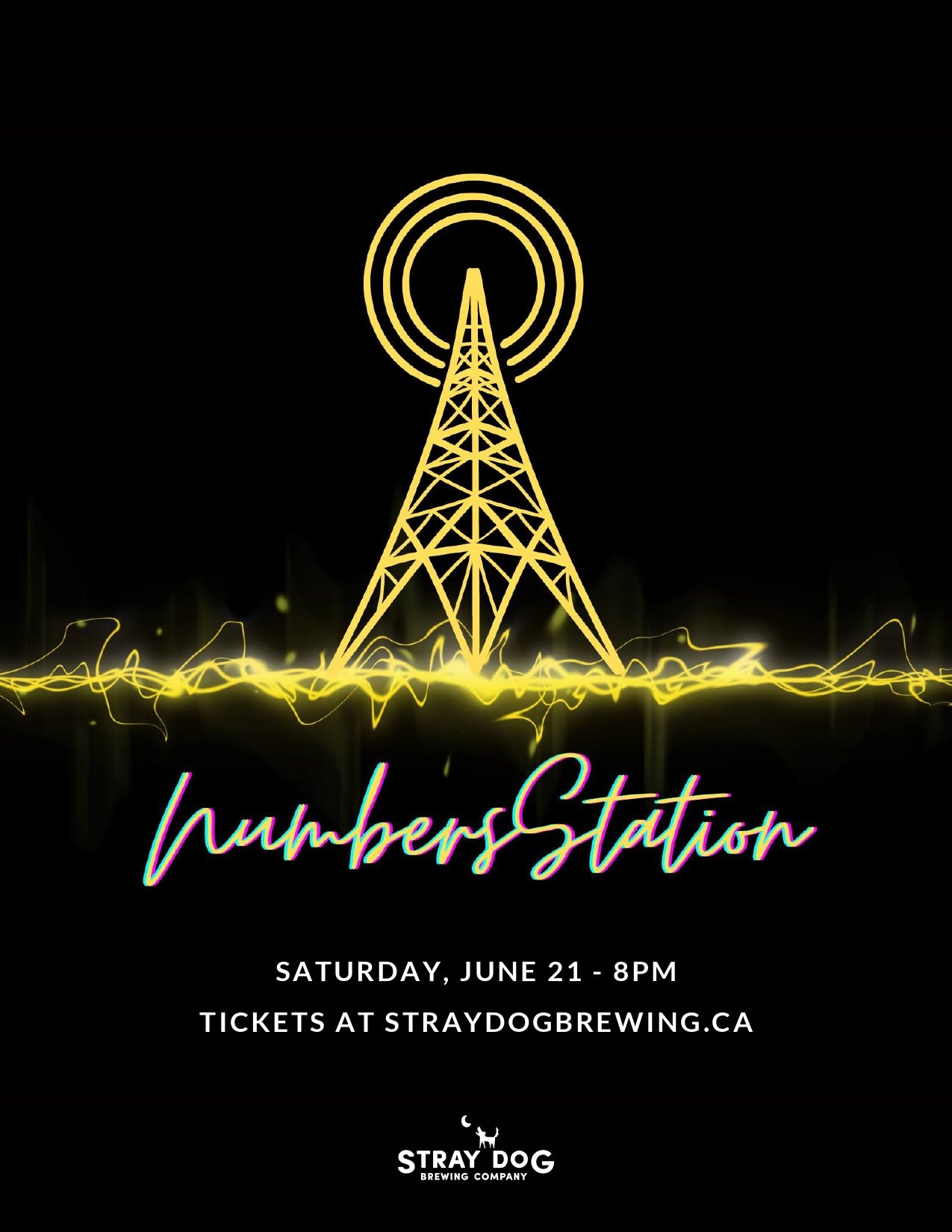 SDBC Taproom Concerts Presents - Numbers Station – Stray Dog Brewing